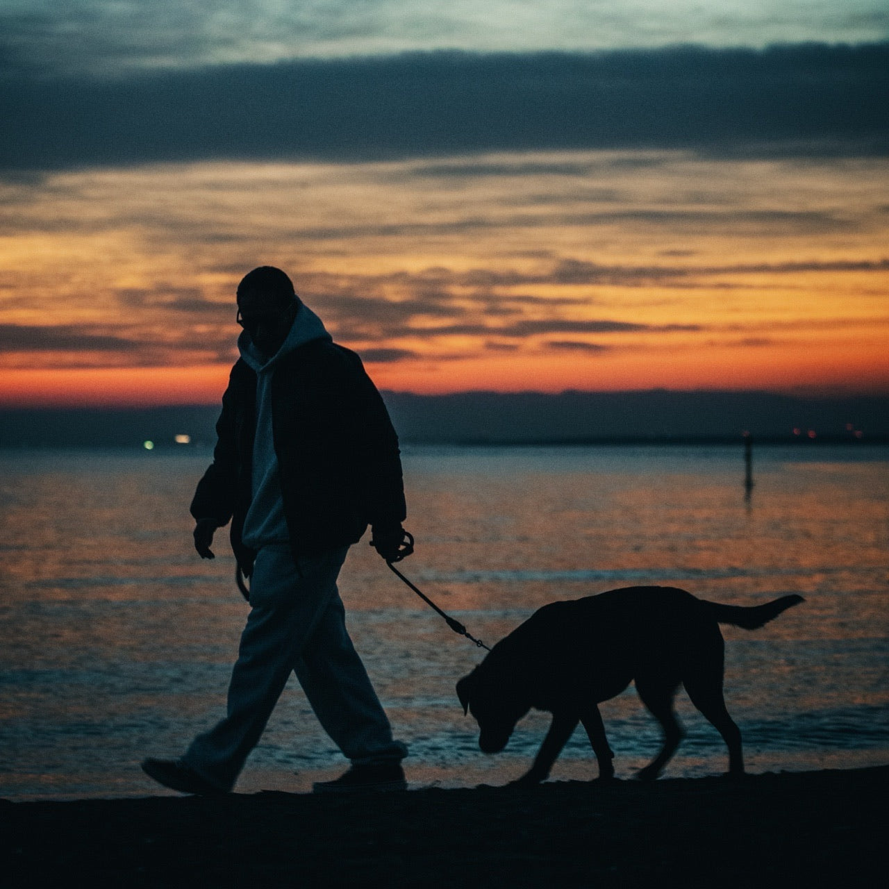 Phase 41 – Timc Inc.