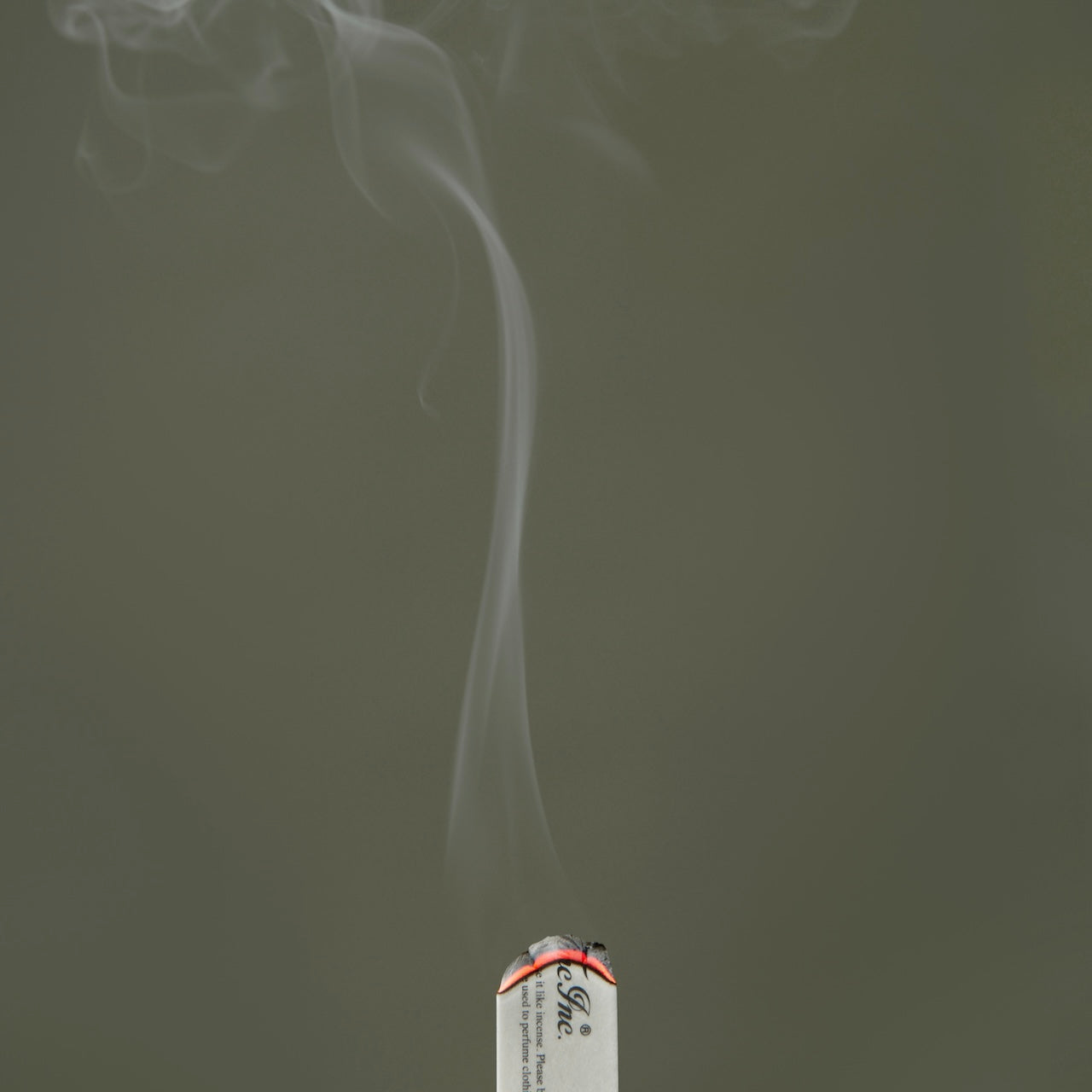 Phase 25 – Timc Inc.